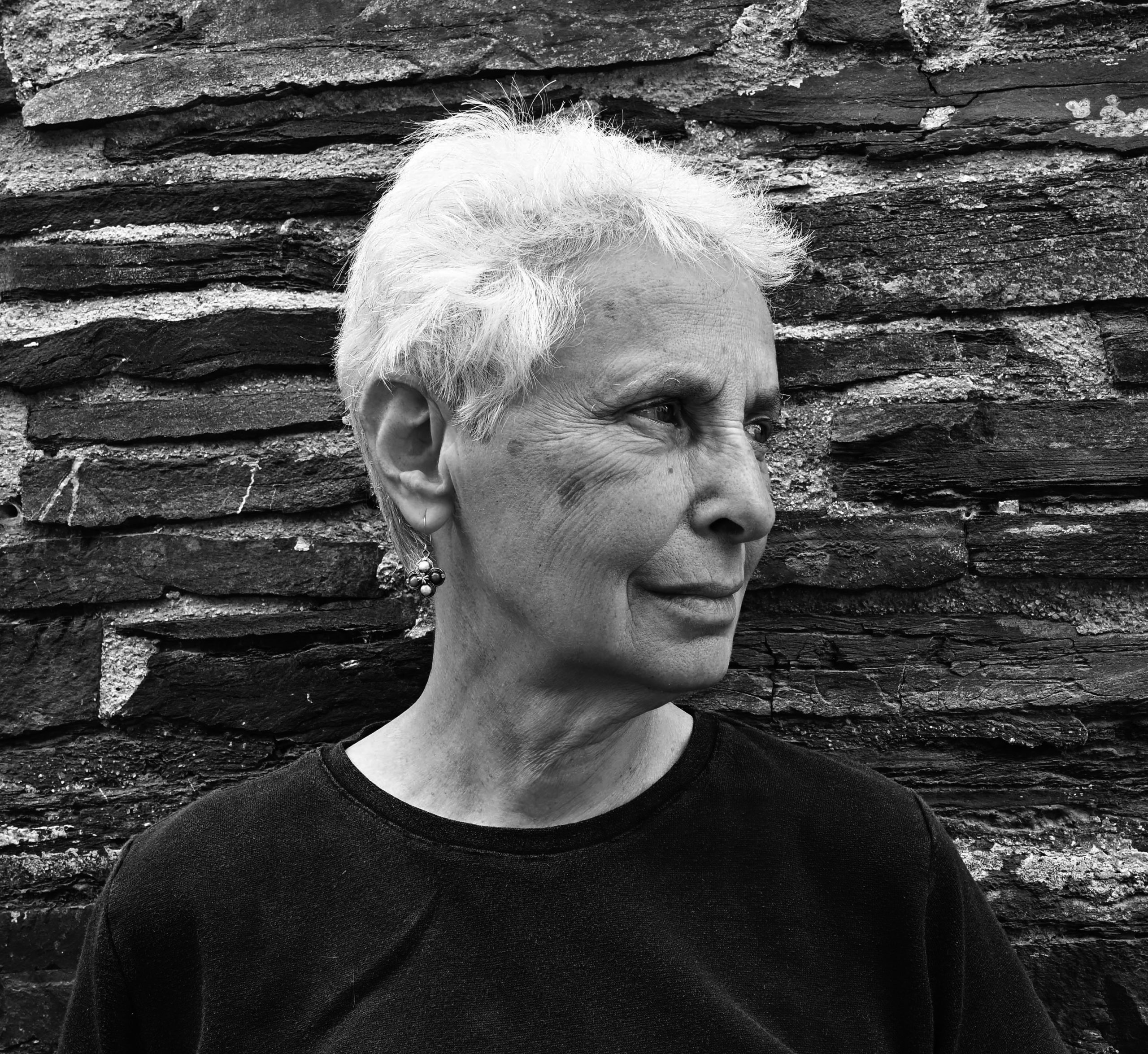 Ellen Hawley | Swift Press