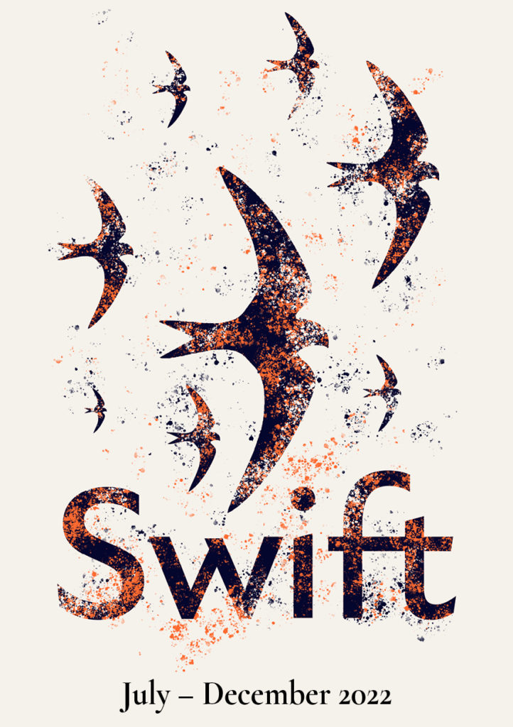 Swift Press | Catalogues