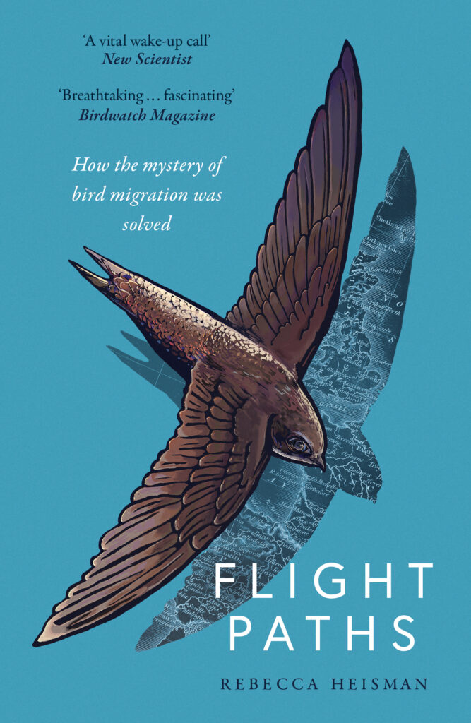 Flight Paths | Swift Press